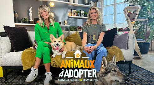 2026-06-21 16:40 - Animaux à adopter - Blaise, Tic et Schweppes | TF1 Pro