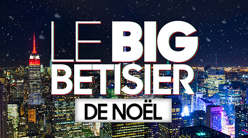 Le big bêtisier 100 % chats | TF1 Pro
